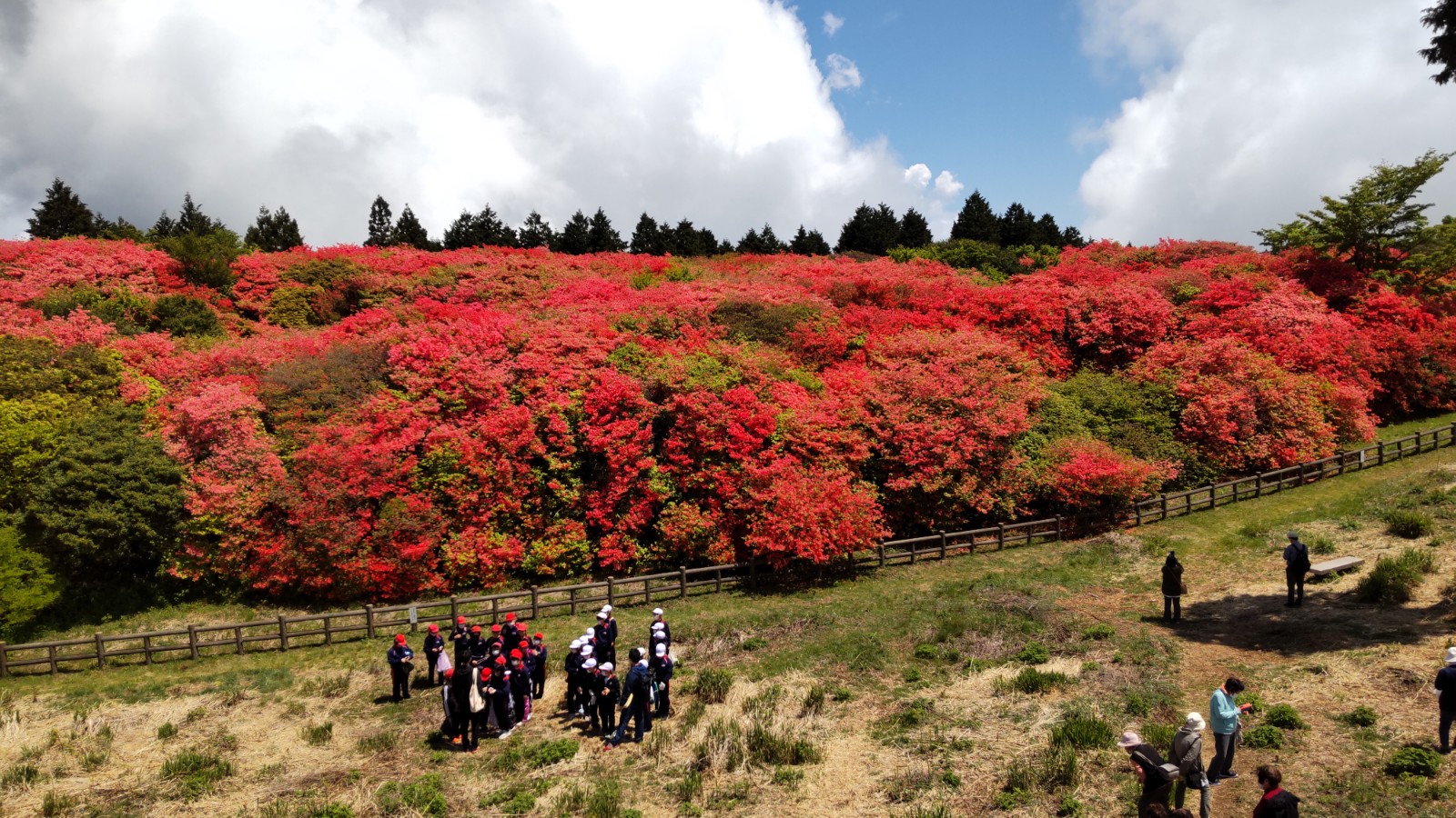 DSC_1637 (1) | ツーリズム徳島